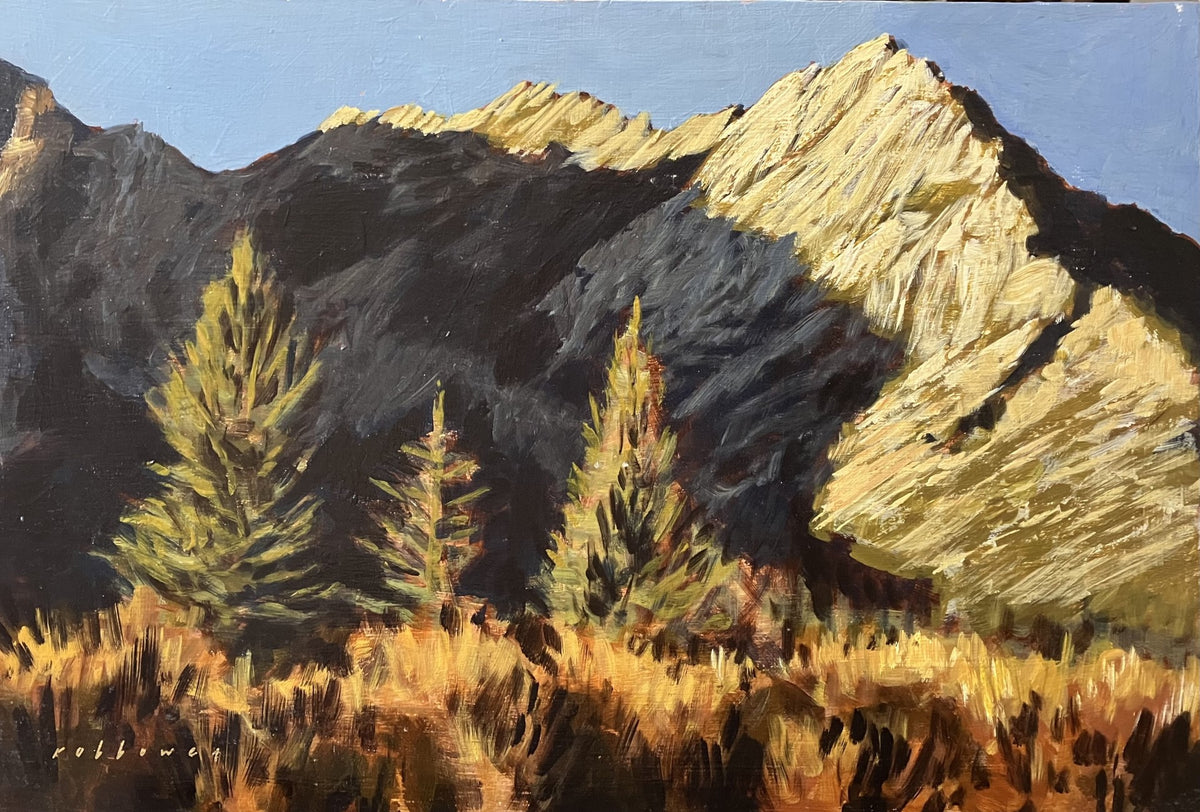 Rob Bowen - 021 (Donated) – Leighton Art Centre Online Shop